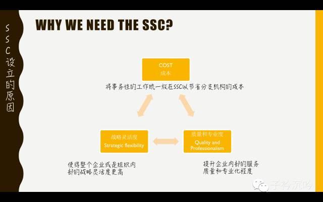 SSC究竟是什么 - 知乎