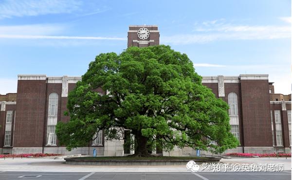 2024年4月春季入学：日本各大学 SGU英文项目汇总（国公立大学学部本科项目） - 知乎