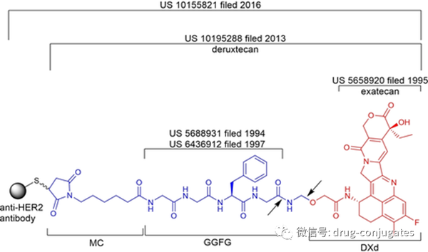 ADC药物DS8201的linker与payload全球专利布局分析|Enhertu抄作业 - 知乎