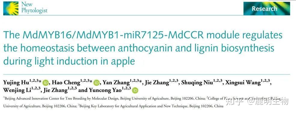 New Phytol | 转录组测序miRNA调控苹果花青苷机制成果 - 知乎