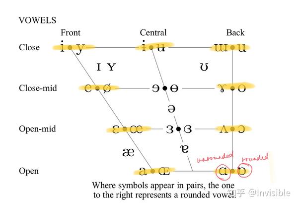 语音学笔记| Vowel - 知乎