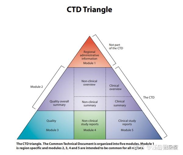 ICH M4框架整理——思维导图 - 知乎