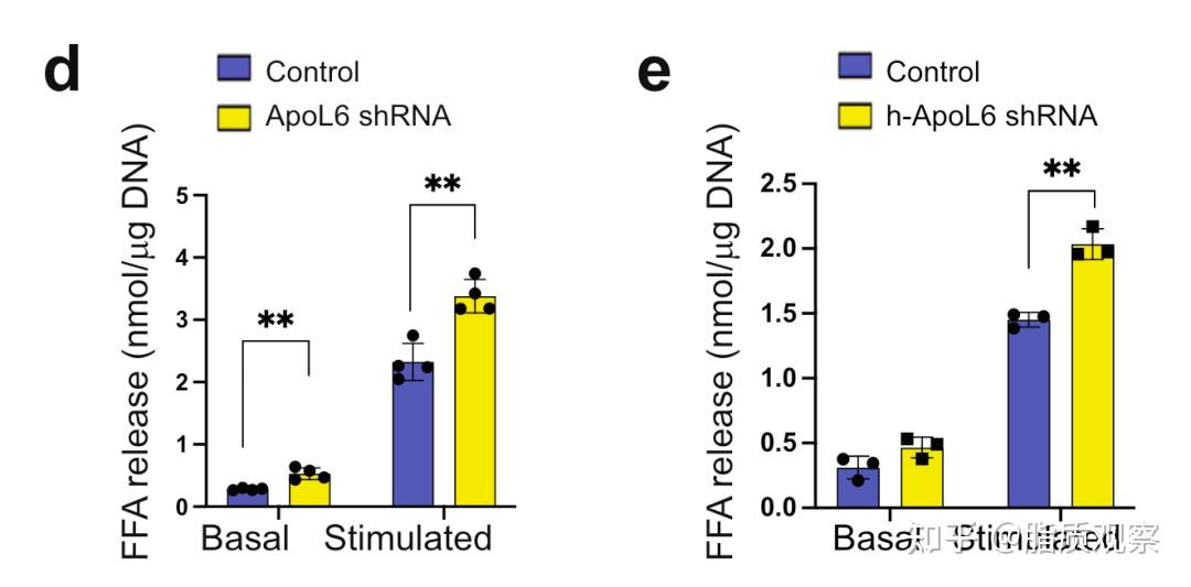 Nature Comunications｜脂滴相关蛋白ApoL6 通过与 Perilipin1互作抑制脂肪分解 - 知乎