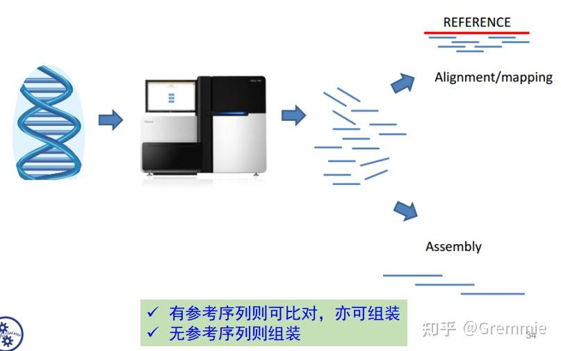 基因组装的概念/算法(OLC,K-mer)详解 - 知乎