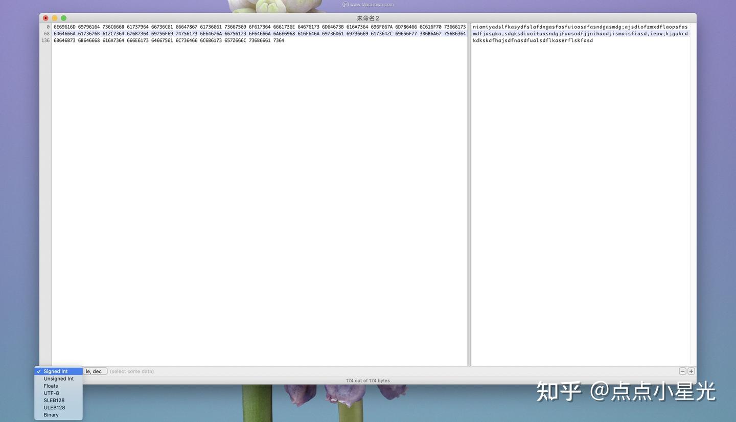 Hex Fiend for Mac(十六进制编辑器) - 知乎