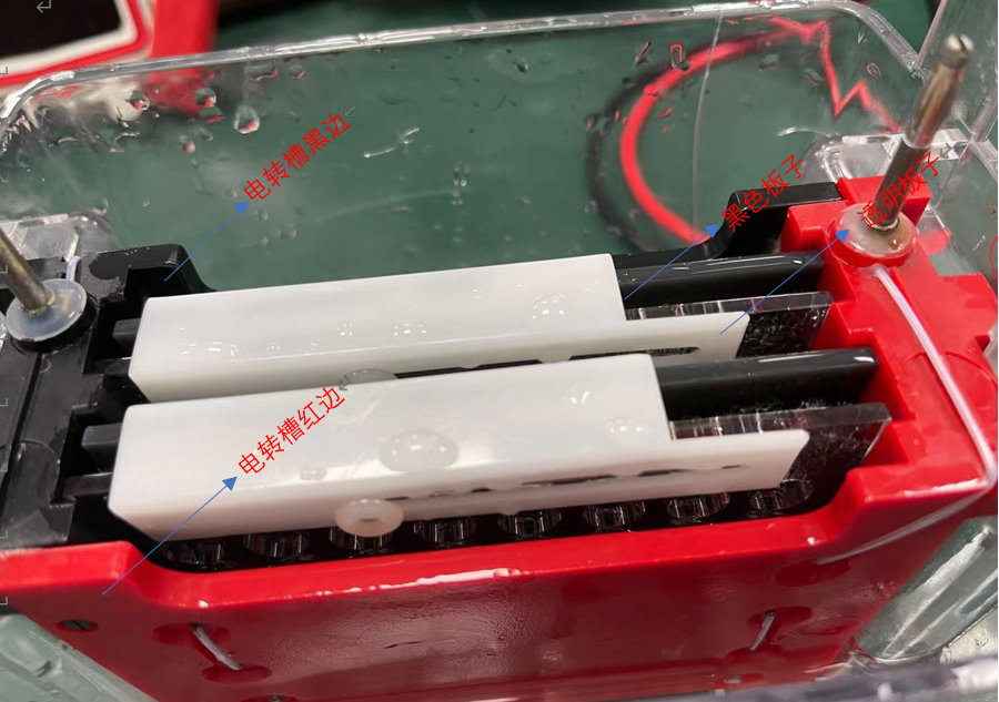 超详细蛋白质印迹（Western Blotting，WB）方法介绍 - 知乎