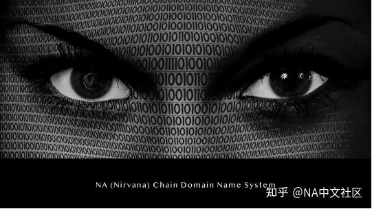 Nirvana Chain 为应用而生（五）NA DNS - 知乎