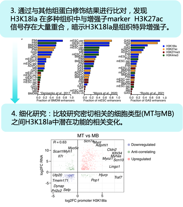 三大经典CUT&Tag应用场景 - 知乎