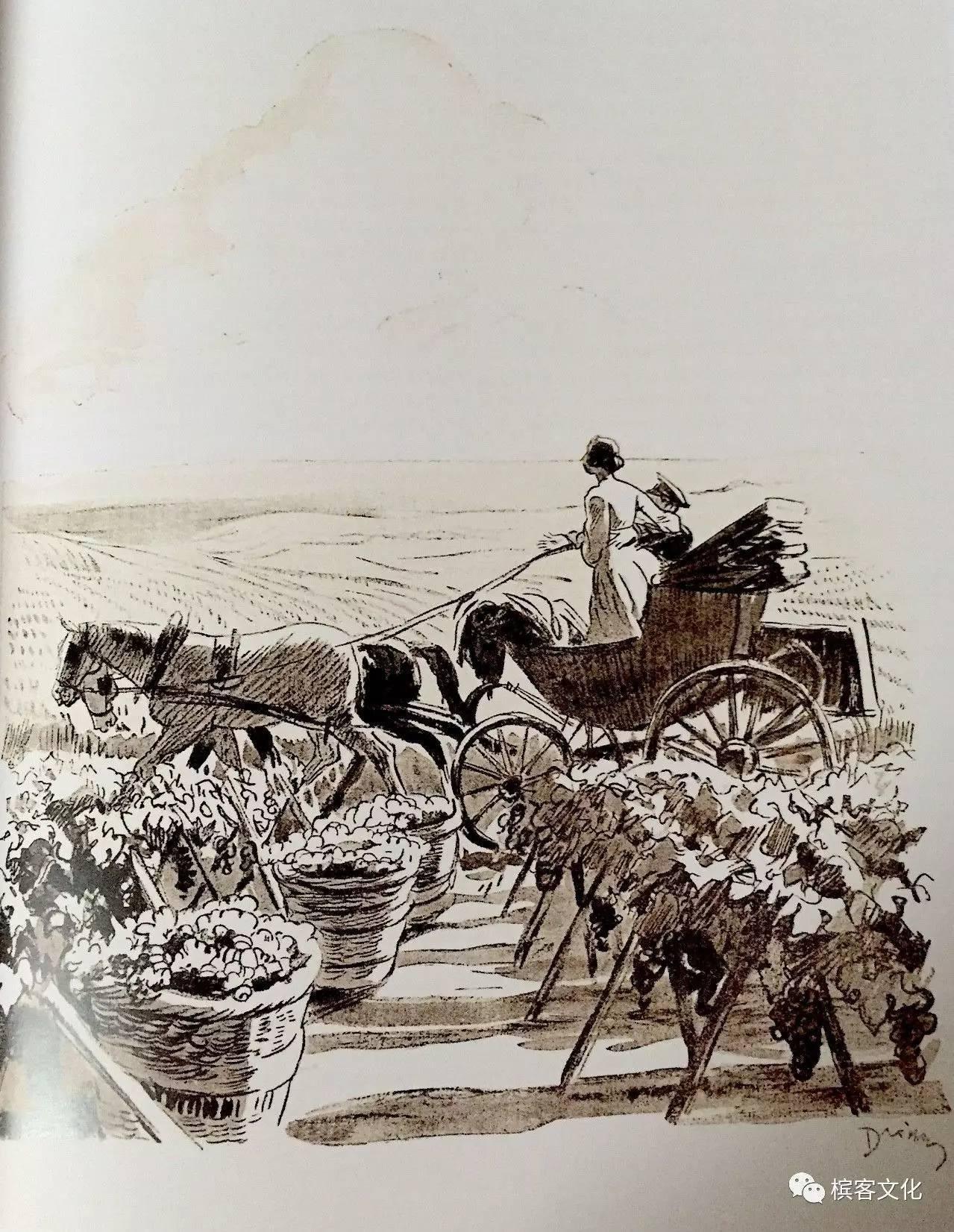 名庄香槟 | Champagne Veuve Clicquot 凯歌香槟故事（一） - 知乎