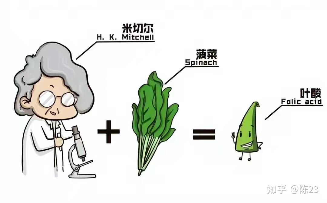 CC型、CT型、TT型啥意思？ - 知乎