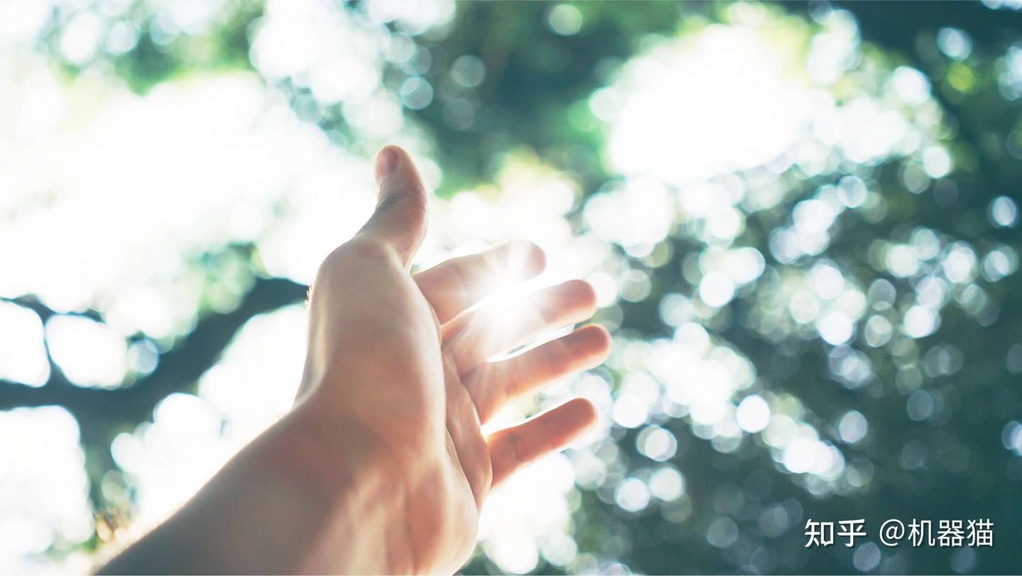 Lipro筒射灯怎么样？筒灯射灯如何选择？灯具实测系列——筒射灯测评|2025年618值得购买的筒射灯系列 - 知乎