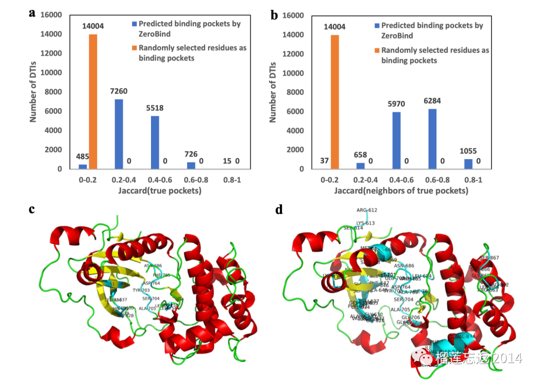 ZeroBind: 零样本的药物-靶标相互作用（DTI）预测 - 知乎