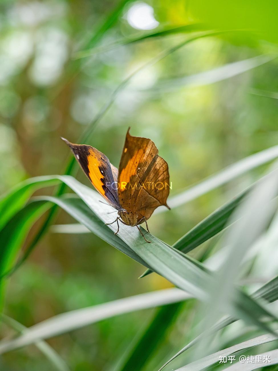 2023年 M43镜头怎么搭配 - 知乎