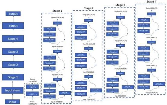 MindSpore网络实战系列：使用ResNet-50实现图像分类任务 - 知乎