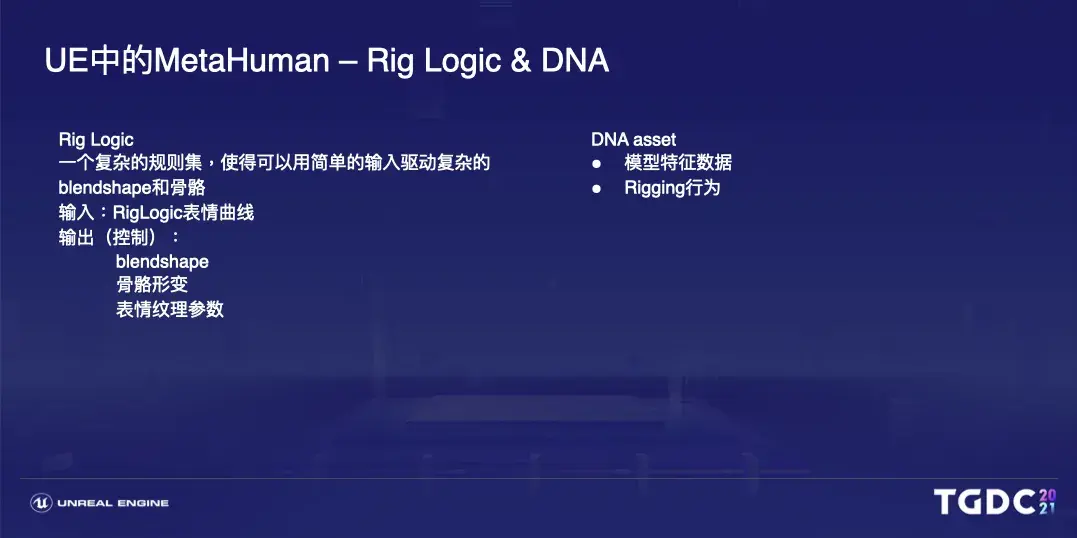 MetaHuman原理及流程浅析 - 知乎