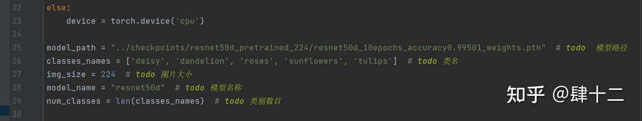 【2023 Pytorch 分类教程】手把手教你使用pytorch训练自己的分类模型 知乎