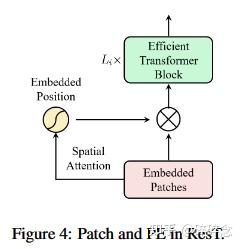 ResT: An Efficient Transformer for Visual Recognition - 知乎