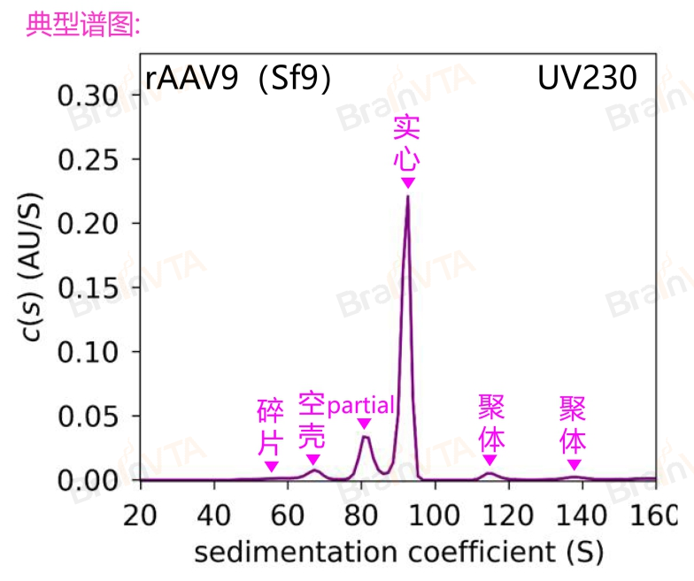 【AAV检测分析】Adeno-Associated Virus (AAV) 检测 - 知乎