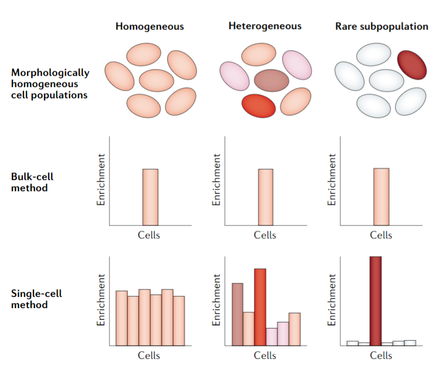 Nat Rev Genet | 细胞异质性的表观遗传基础 - 知乎