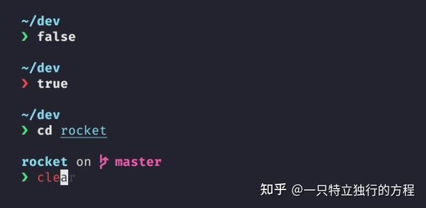 Starship prompt - 知乎