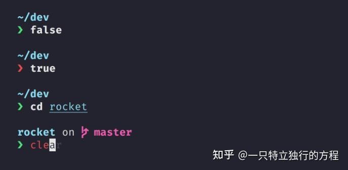 Starship prompt - 知乎
