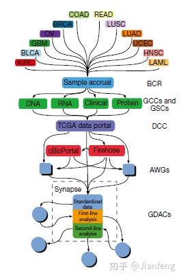 TCGA Pan-Cancer analysis project - 知乎