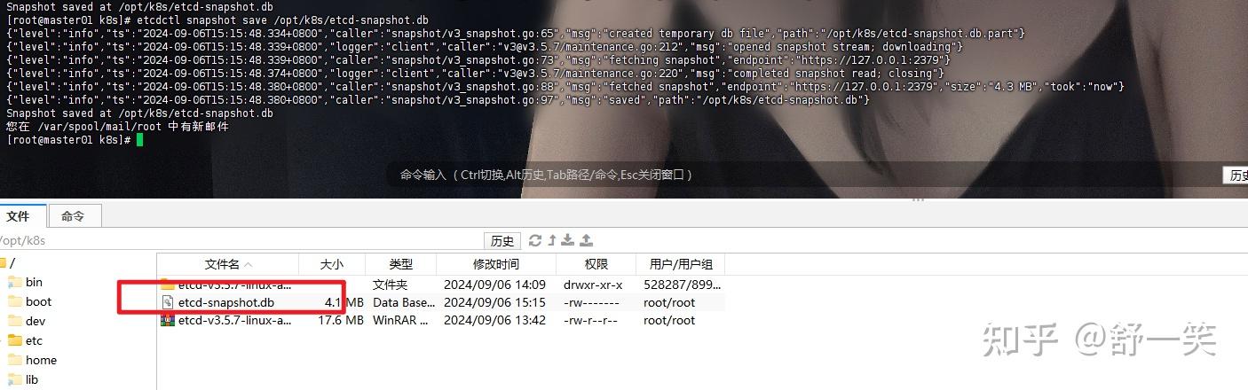 K8s中如何使用etcd进行集群信息的备份与恢复 - 知乎
