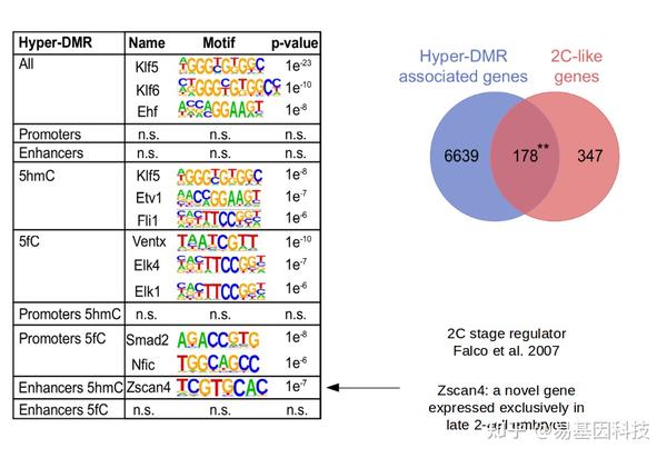 易基因｜DNA甲基化研究的测序数据挖掘思路：干货分享 - 知乎