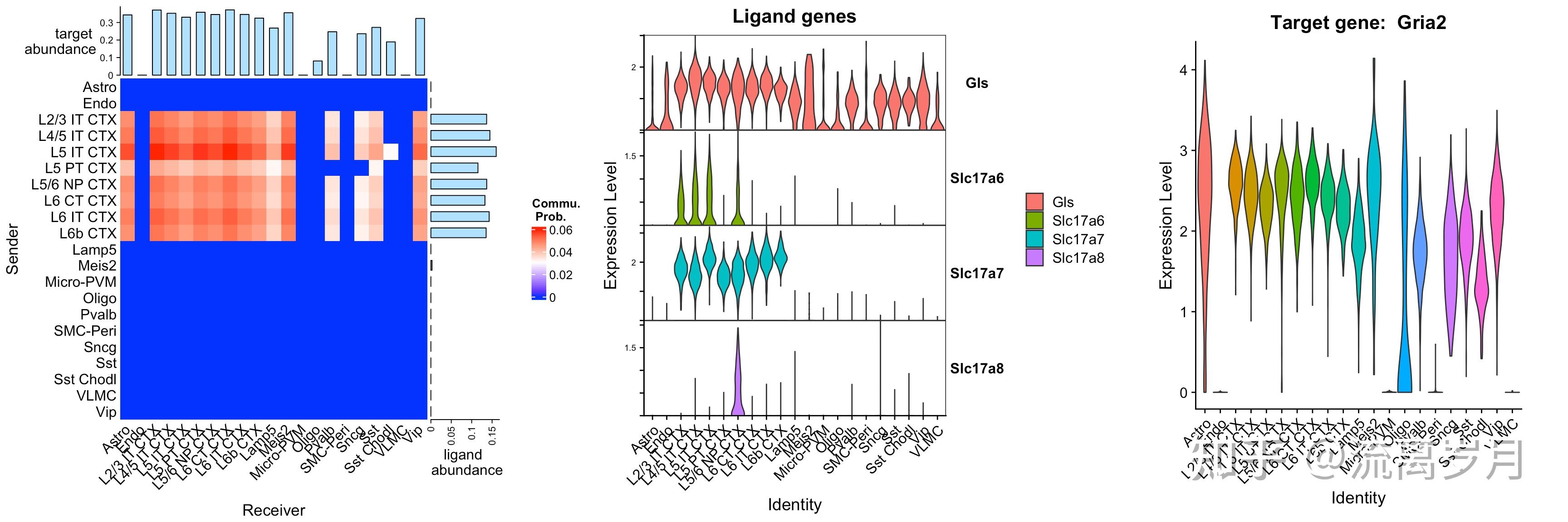 特异性预测神经细胞通讯信号的软件-NeuronChat（一） - 知乎