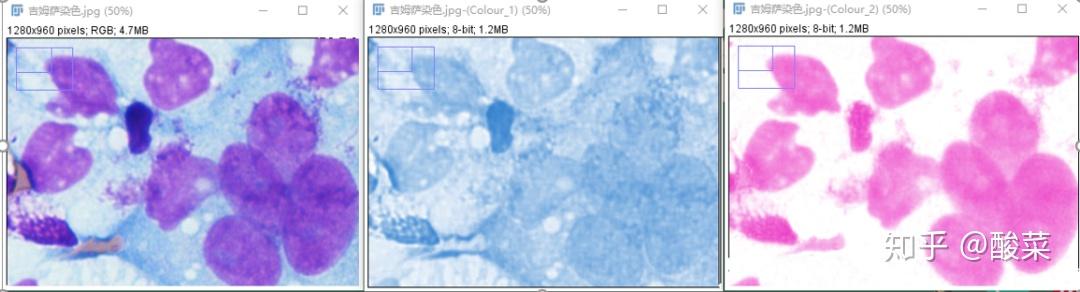 ImageJ高效图片分析技巧 - 知乎