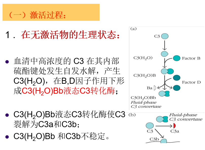 免疫学整理--细胞因子&补体系统 - 知乎