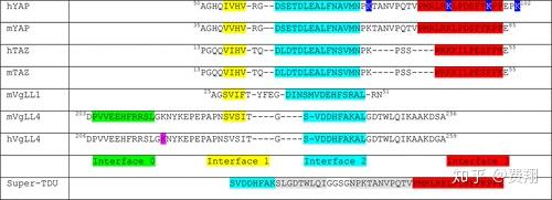 【JMC】TEAD靶点综述 - 知乎