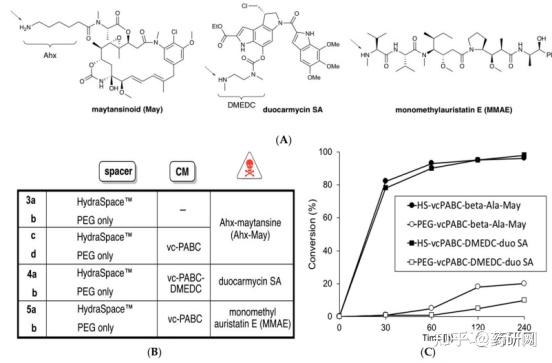 21.5亿美元！Synaffix两天达成两项ADC合作，获“最佳ADC平台技术”奖 - 知乎
