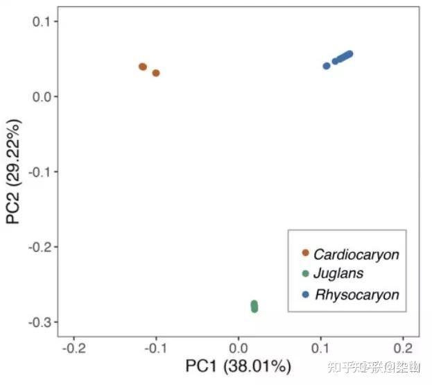 主成分分析PCA图 - 知乎
