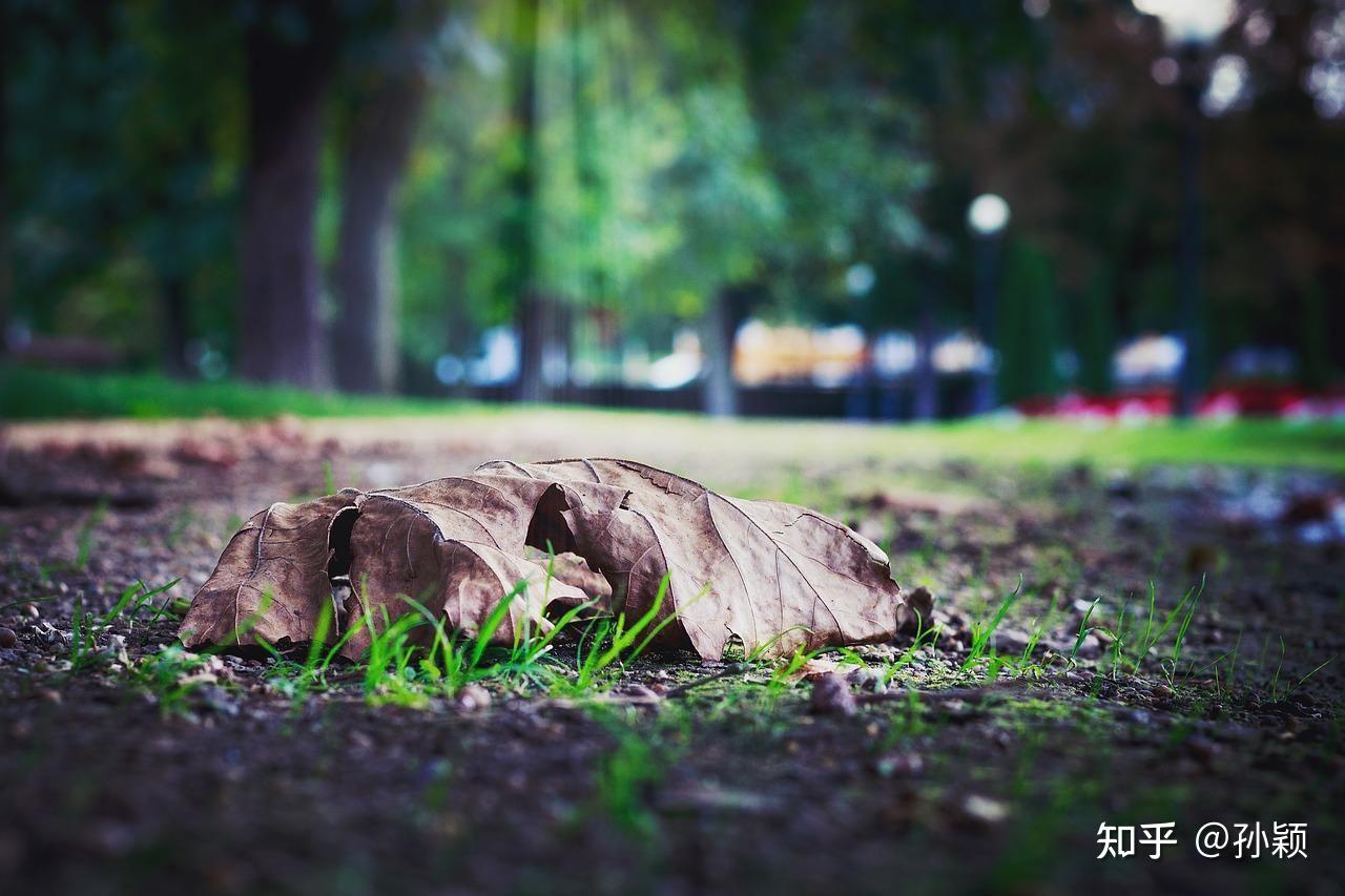 家长在孩子视力问题上的3个误解？ - 知乎