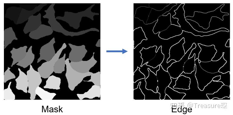 ImageJ实用教程——基于cellpose的不规则细胞分割（案例分析篇） - 知乎