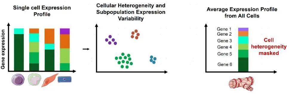 单细胞eQTL分析 | 启航单细胞多组学大数据时代 - 知乎