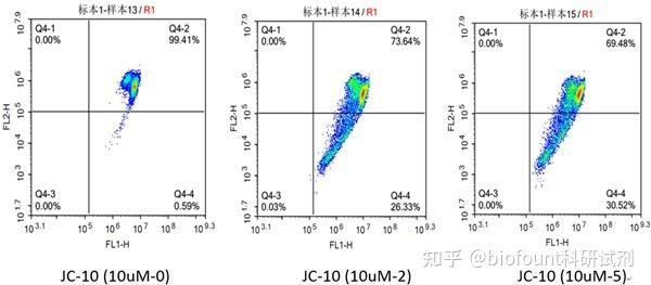 JC-10；线粒体膜电位荧光探针 - 知乎