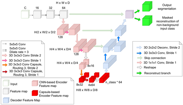 ICPR 2022｜3DUNet：卷积+胶囊强强联手，医学图像分割的新良方 - 知乎