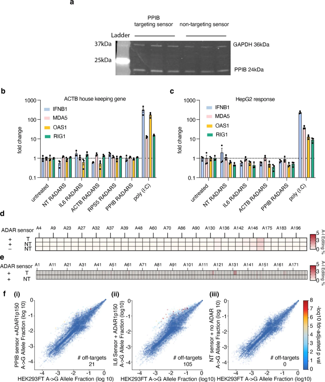 Nat Biotech | 可编程真核蛋白合成, 利用ADAR的RNA传感器 - 知乎