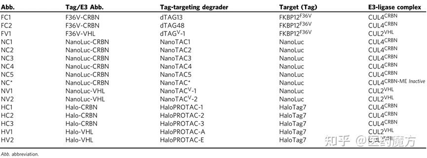 新型蛋白降解技术NanoTAC 来了！与PROTAC相比，有何不同？ - 知乎