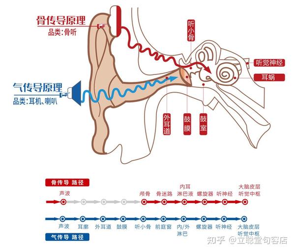 骨导助听器怎么样？我可以用吗？ 知乎