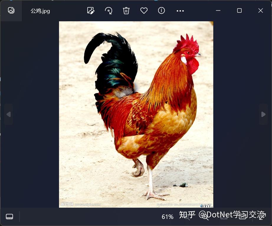 ONNX Runtime入门示例：在C#中使用ResNet50v2进行图像识别 - 知乎