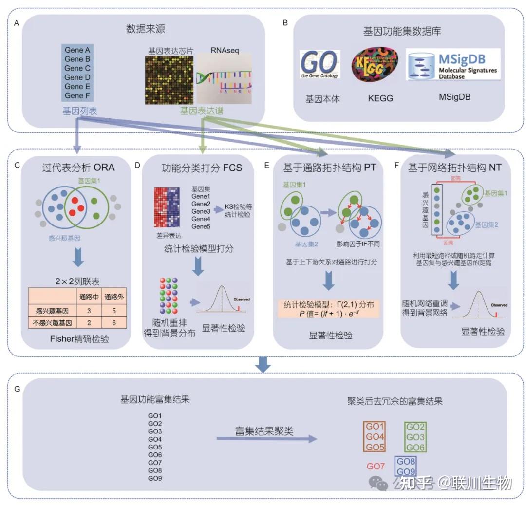【联川沧海】富集分析ORA（通用富集分析）、FCS（GSEA、ssGSEA、GSVA）一网打尽 - 知乎