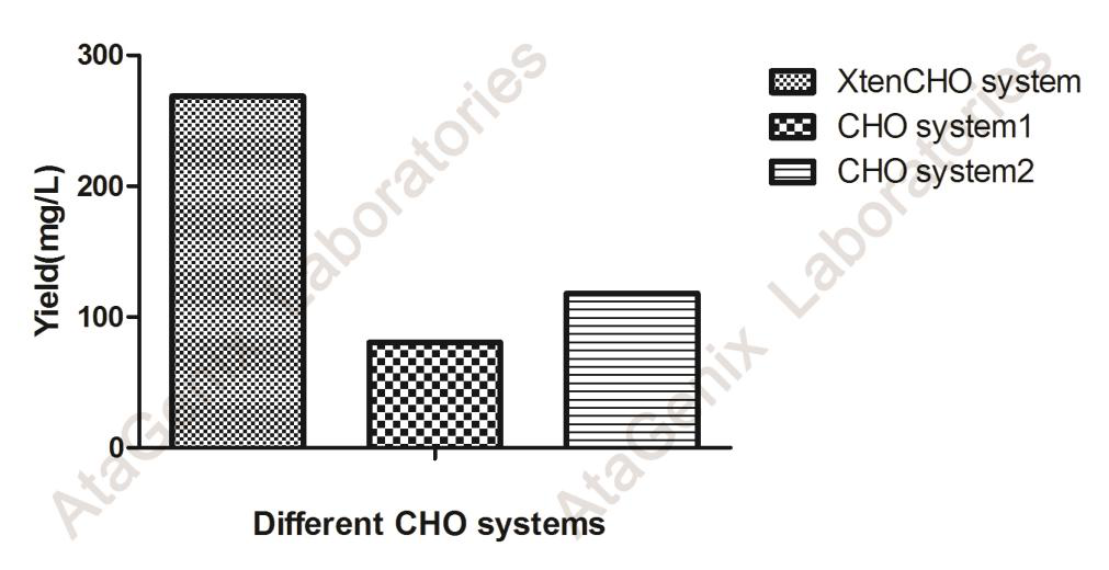 细胞界里最靓的仔-CHO（中国仓鼠卵巢细胞） - 知乎
