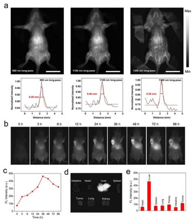 NIR-II 荧光团 | 苯并[c]噻吩荧光团的抗猝灭NIR-II J聚集体实现高效生物成像和光疗诊断 - 知乎