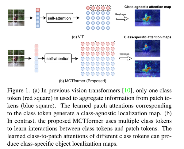 CVPR'22｜MCTformer（弱监督语义分割） - 知乎