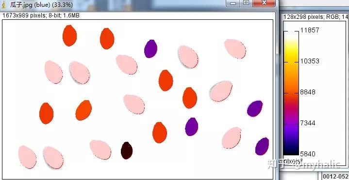 干货 | 一把西瓜子也能教会你 ImageJ 图片分析 - 知乎