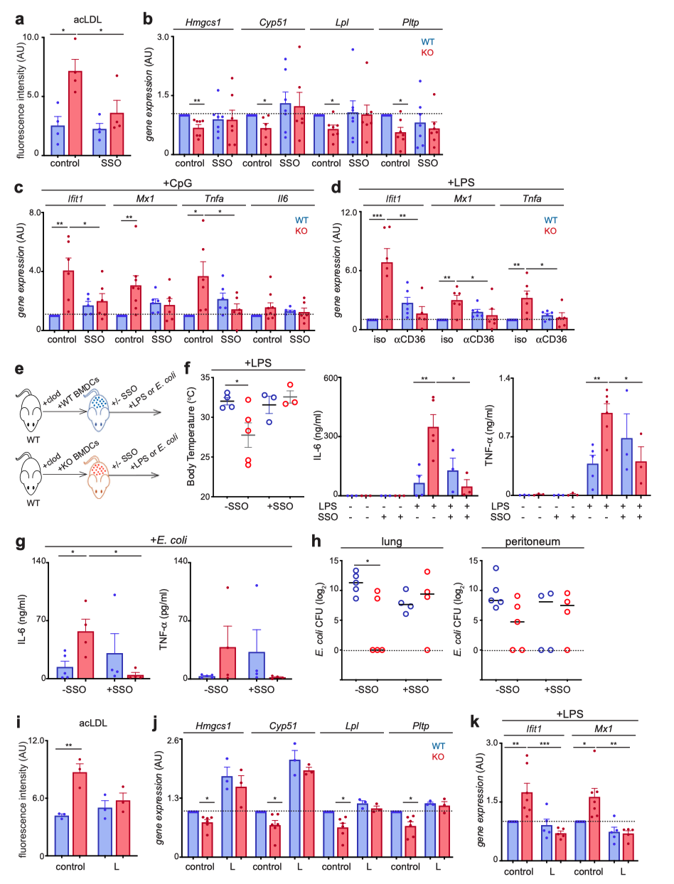 Nature子刊丨巨噬细胞脂质代谢的 CD1d 依赖性重新布线调节先天免疫反应 - 知乎