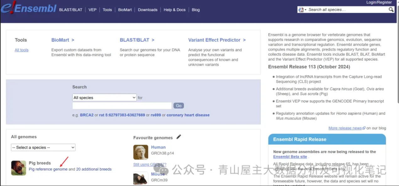 探索猪基因组的秘密——从GTF文件开始 - 知乎